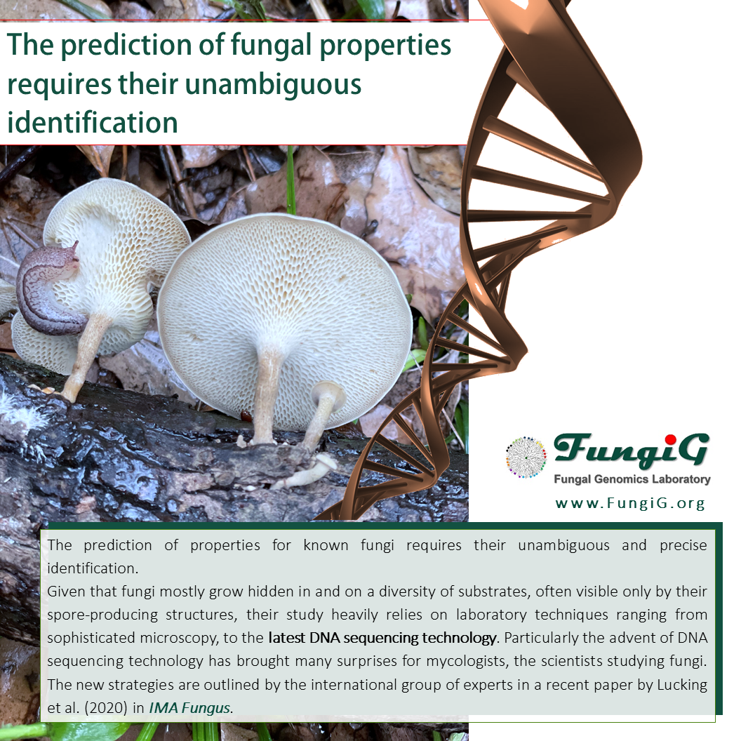 The new publications on fungal taxonomy, DNA Barcoding, and ...