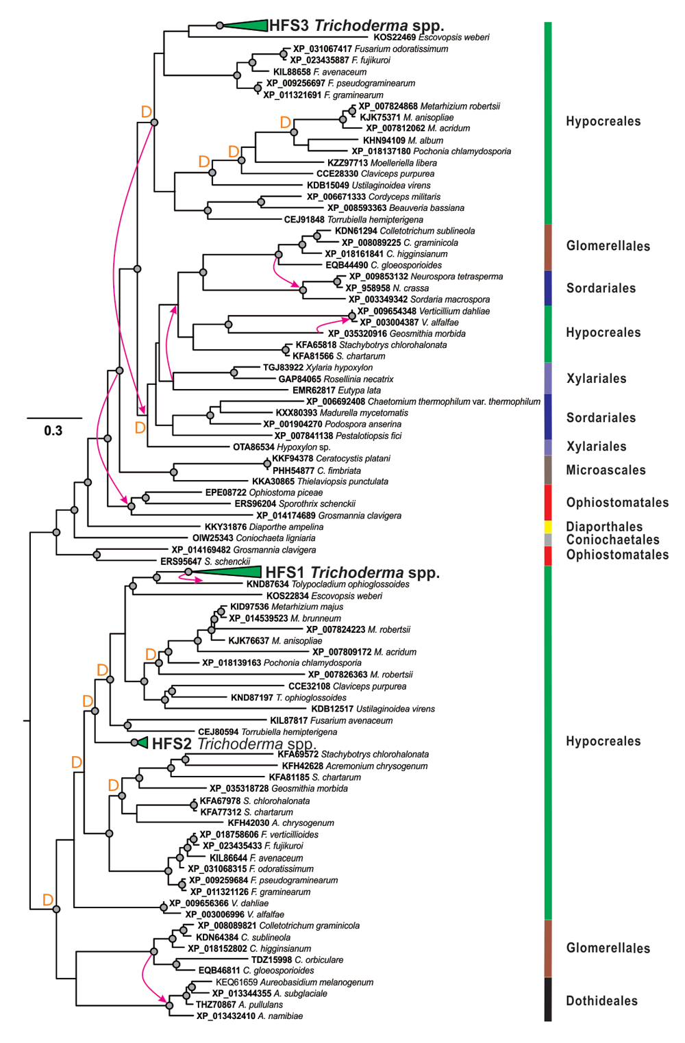 Zhao et al. 2021 At least three families of hyphosphere small secreted ...